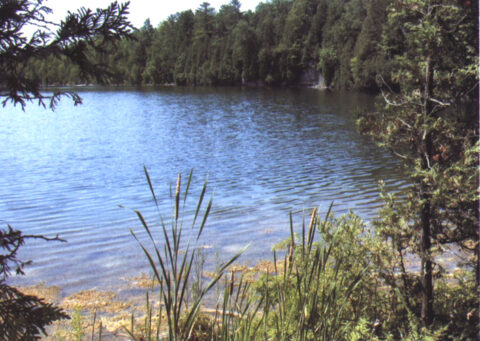 Early Studies of Crawford Lake Sediments | Bill Finlayson, Ph.D.